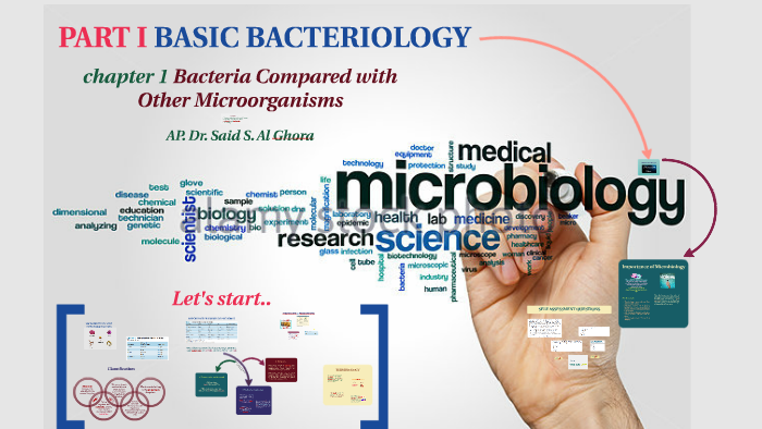 PART I BASIC BACTERIOLOGY- chapter1 by Yasmeen Yahya