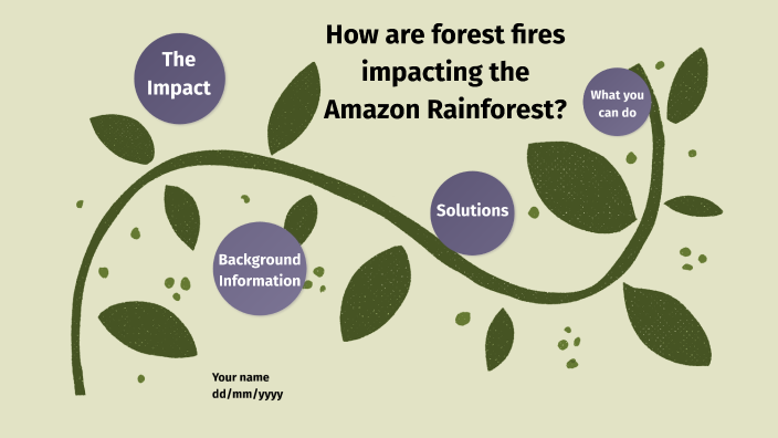 Amazon Rainforest Project by 20 20 on Prezi