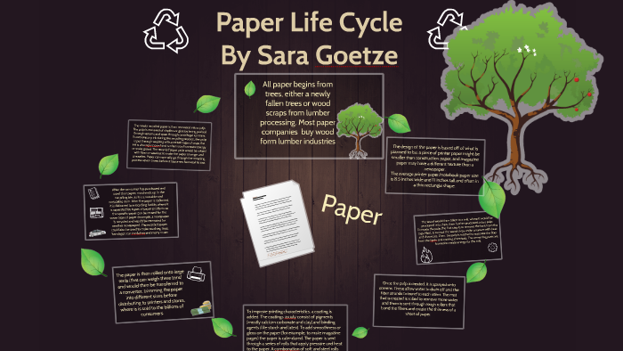 Paper Life Cycle by Sara Goetze on Prezi