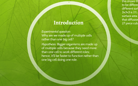 Cell Size Using A Potato by Bonyek Sanchez on Prezi