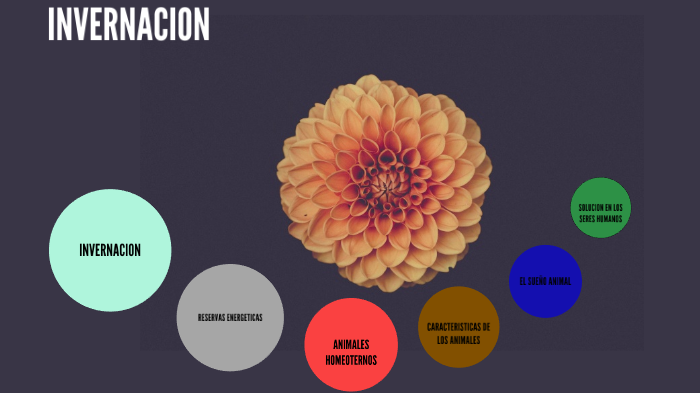 INVERNACION by Alejandro Rodriguez on Prezi