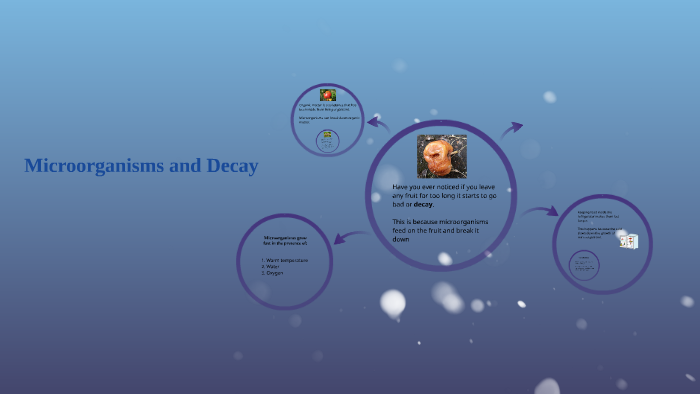 Microorganisms and Decay by Fatima Agha on Prezi