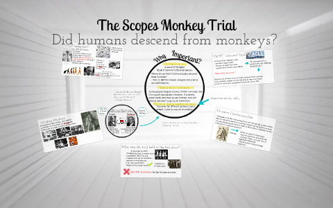 The Scopes Monkey Trial by Yoomin Lee on Prezi