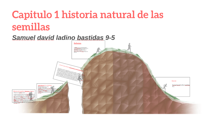 Historia de la palma Scheelea rostrata by samuel ladino on Prezi