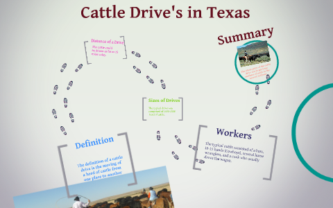 Cattle Drive's in Texas by ally sloan on Prezi