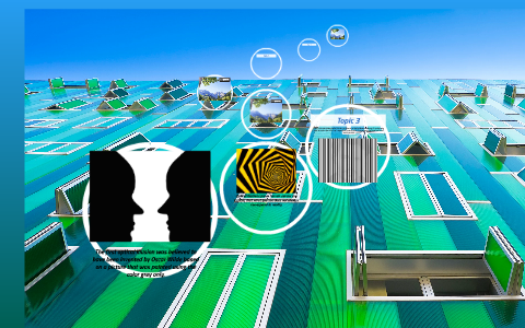 The first optical illusion was believed to have been invente by andrew ...