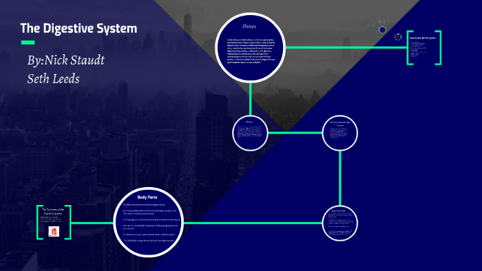 The Digestive System by Nick Staudt on Prezi
