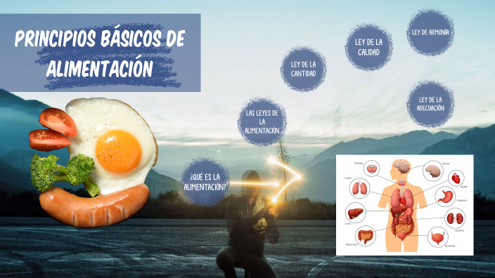 PRINCIPIOS BÁSICOS DE ALIMENTACION by Leydy Huarachi on Prezi
