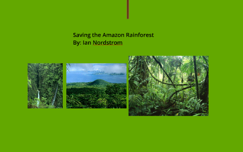 Saving the Amazon Rainforest by Ian Nordstrom on Prezi