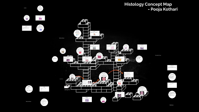 Histology Concept Map by Pooja Kothari on Prezi