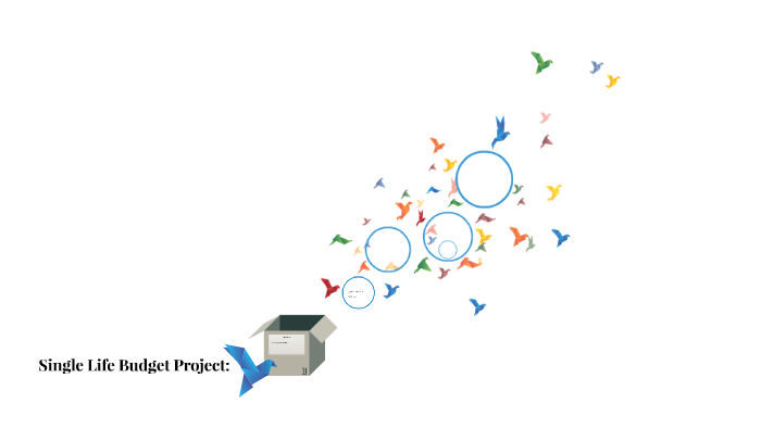 Single Life Budget Project by Anna Joyner on Prezi