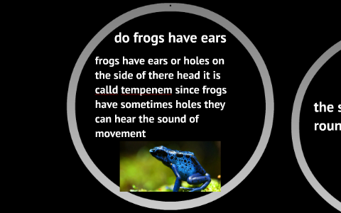 HOW FROGS HEAR! by brennan gulseth on Prezi