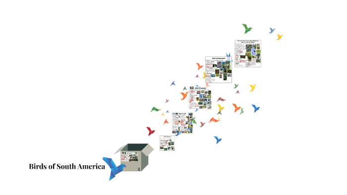 Birds of South America by Kenneth Canady on Prezi