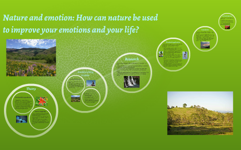 Nature and emotion: How can nature be used to improve your emotions and ...