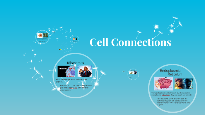 Cell Connections by jonathan gilbert