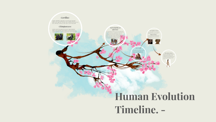 Human evolution timeline! by on Prezi
