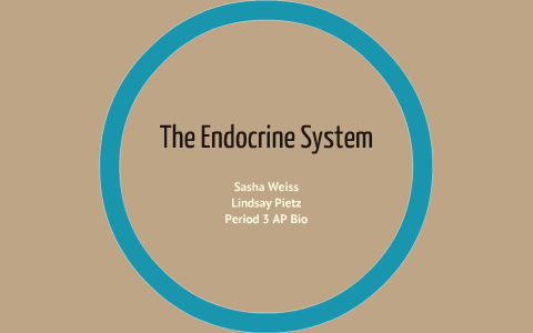 Endocrine System AP Bio by Alexander Weiss on Prezi