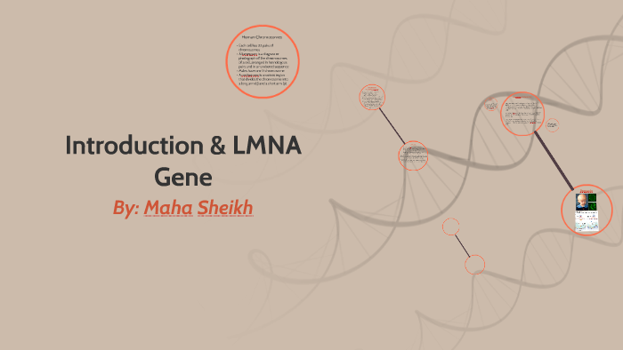 Introduction & LMNA Gene by Maha Sheikh on Prezi