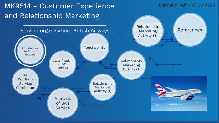 MK9514 - Customer Experience and Relationship Marketing by Matthew Raff ...