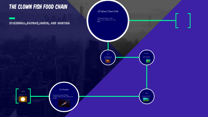 The Clown fish food chain by Tracy Senf on Prezi