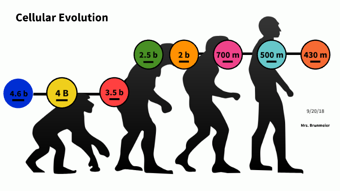 cellular evolution timeline by eric bevan on Prezi