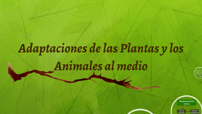 Adaptaciones de las Plantas y los Animales al medio by Valentina Pardo ...