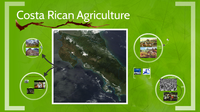 Costa Rican Agriculture by Oriana Daly on Prezi