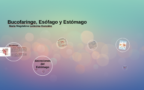 Presentación_Bucofaringe_Esófago_Estómago by felipe fregoso on Prezi