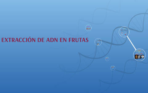 EXTRACCIÓN DE ADN EN FRUTAS by on Prezi