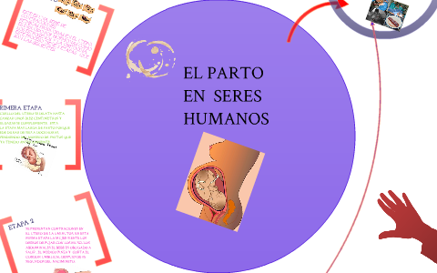 el parto en seres humanos by jennifer maria montoya rodriguez on Prezi