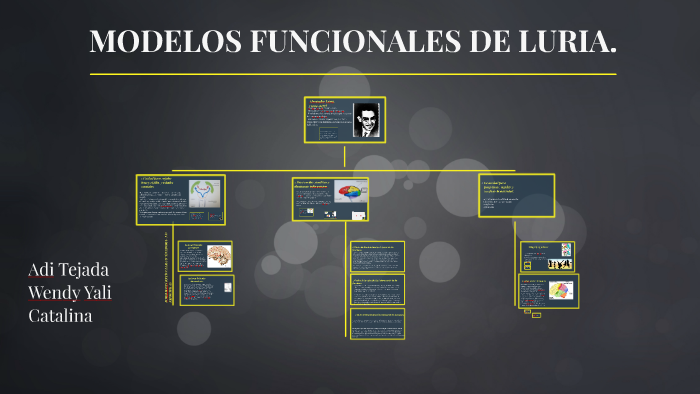 modelos funcionales de luria by dadys mejia on Prezi