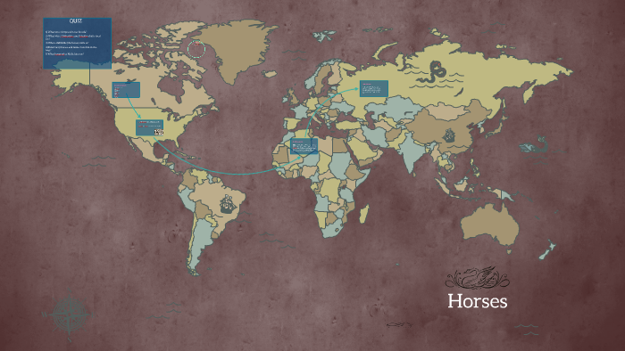 Breeds Of Horses by Hannah&Katie Gilchrist&Thibault on Prezi