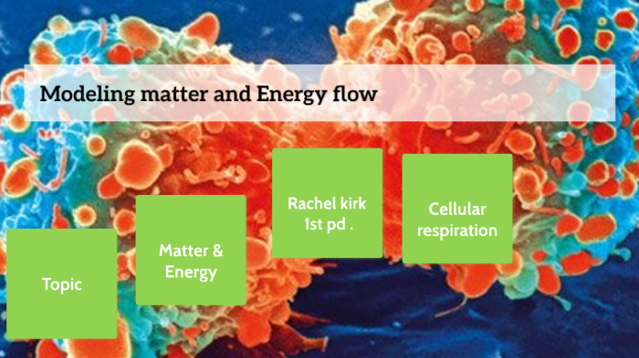 Matter and energy flow by rachel kirk on Prezi