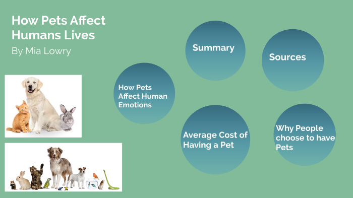 How Pets Affect Humans Daily Life by Mia Lowry on Prezi