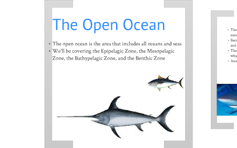 Open Ocean Biome by Jackson Beck on Prezi