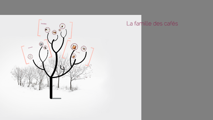 La famille des cafés by isabelle labrecque on Prezi