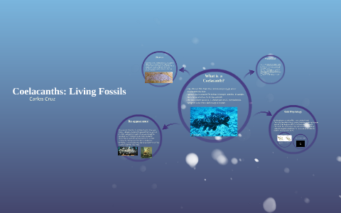 Coelacanths: Living Fossils by Carlos Cruz on Prezi