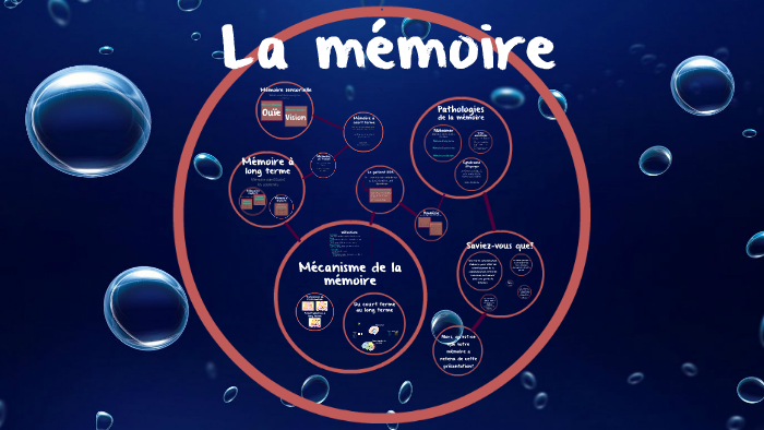 La mémoire humaine by Pascale Cécire on Prezi
