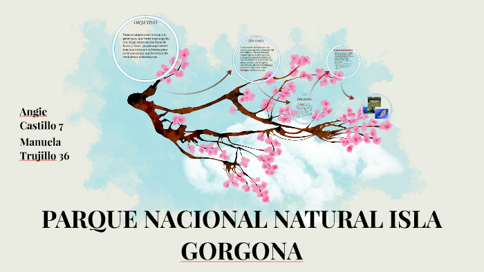 parque nacional natural gorgonea by manuela trujillo