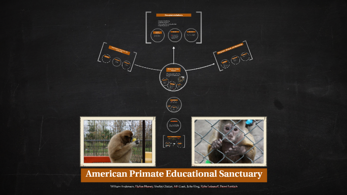 FFG Project by Alli Cook on Prezi