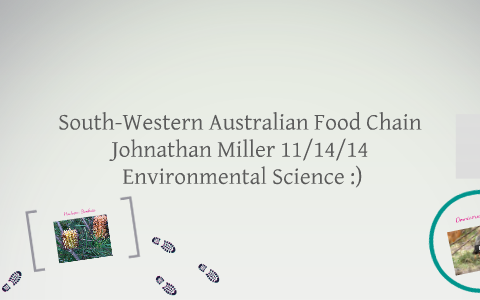 South-Western Australian Food Chain by Johnathan Miller on Prezi