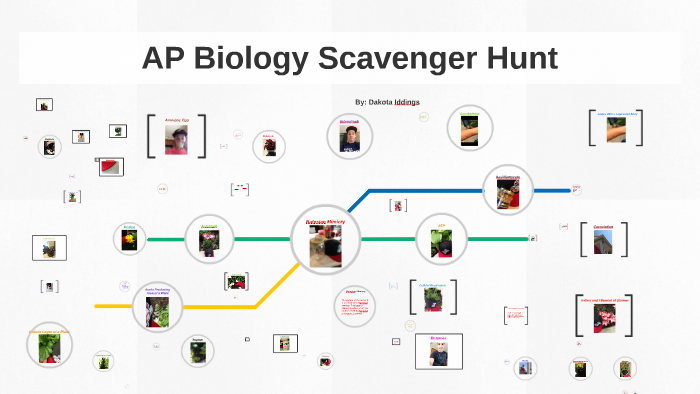 AP Biology Scavenger Hunt by Dakota Iddings on Prezi