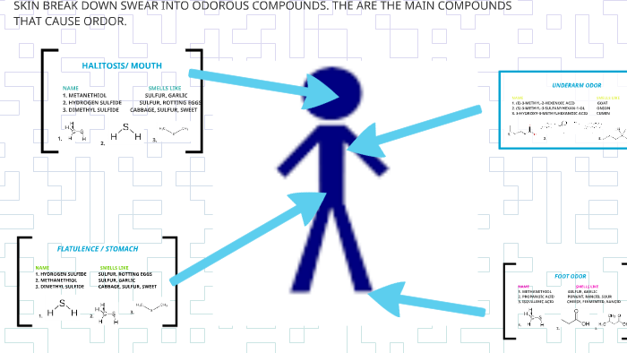 THE CHEMISTRY OF BODY ODORS by Andrew Tate on Prezi