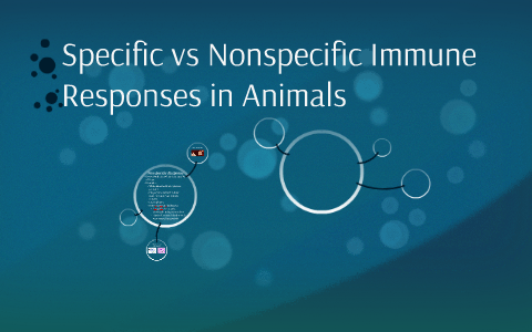 Specific versus Nonspecific Immune Responses in Animals by Lara Scott ...