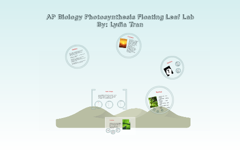 AP Biology Photosynthesis Floating Leaf Lab by Lydia Tran on Prezi