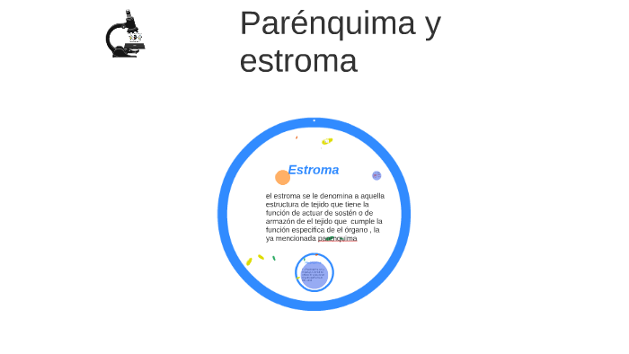 Parénquima y estroma by santiago Romero on Prezi