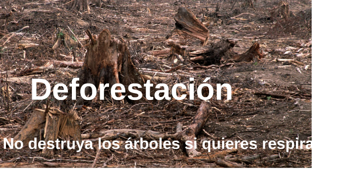 DEFORESTACION by Lydia Ratcliffe on Prezi