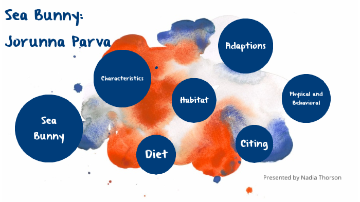 Sea Bunny: Jorunna parva by Nadia Thorson on Prezi