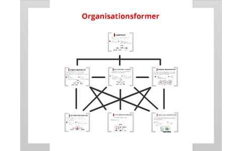 Opgave 3. - organisationsformer by Randi Møller on Prezi