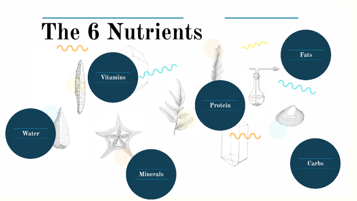 The 6 Nutrients by Olivia Matthews on Prezi
